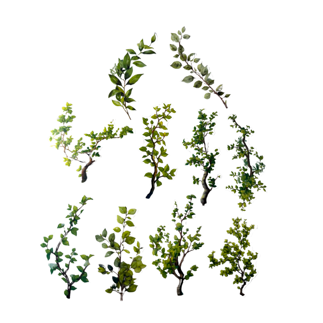 Stickers de plantas – Escala Gráfica