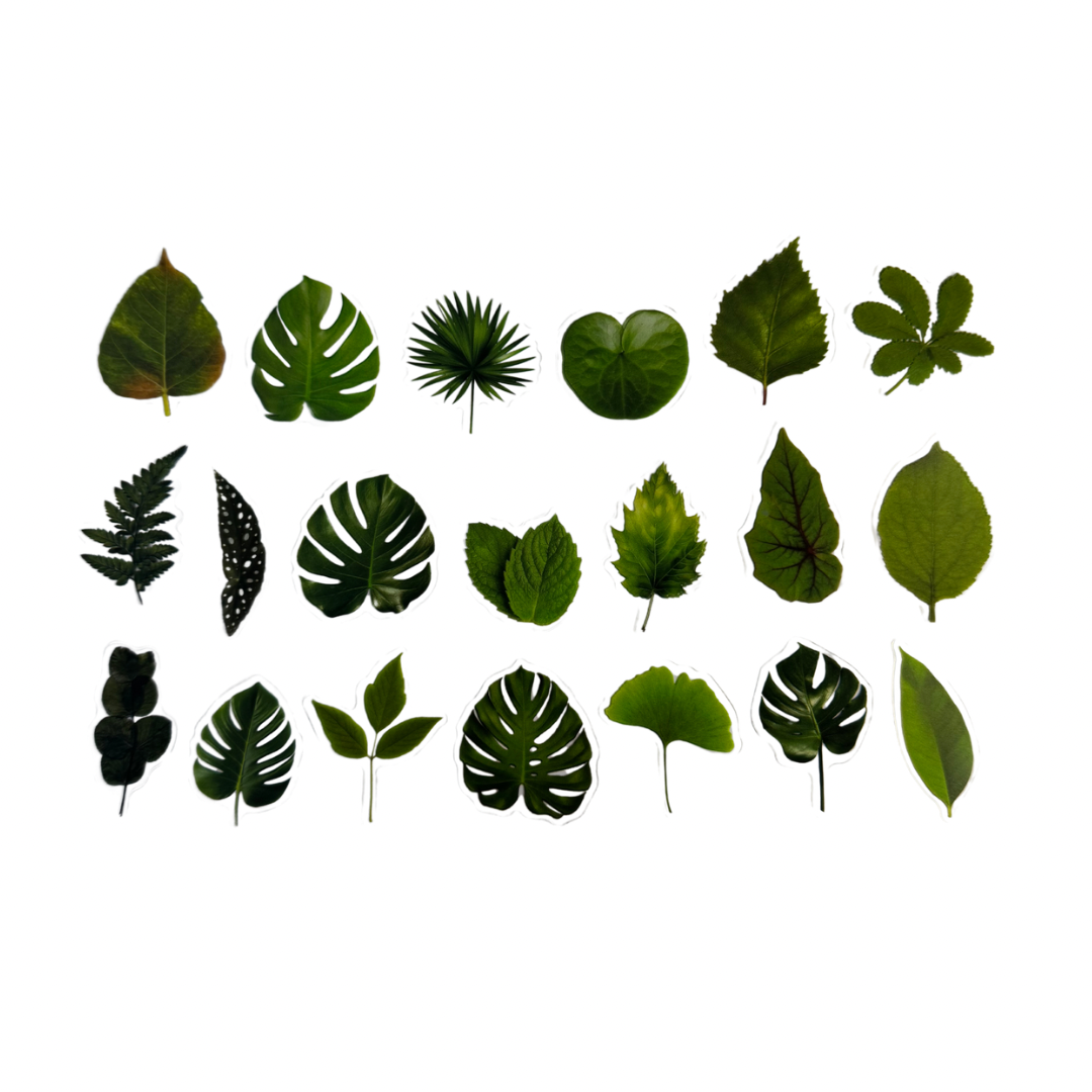 Stickers de plantas 3 – Escala Gráfica